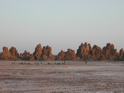 DaveGoesToAfrica: Lac Abbe