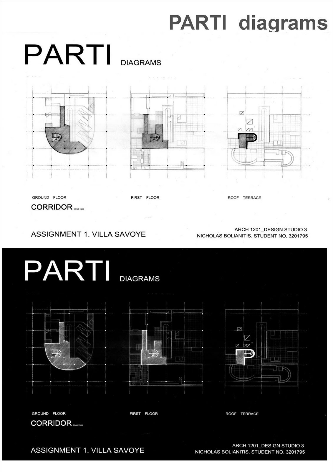 Nicholas Bolianitis: FINAL DRAWINGS: PARTI AND POCHE