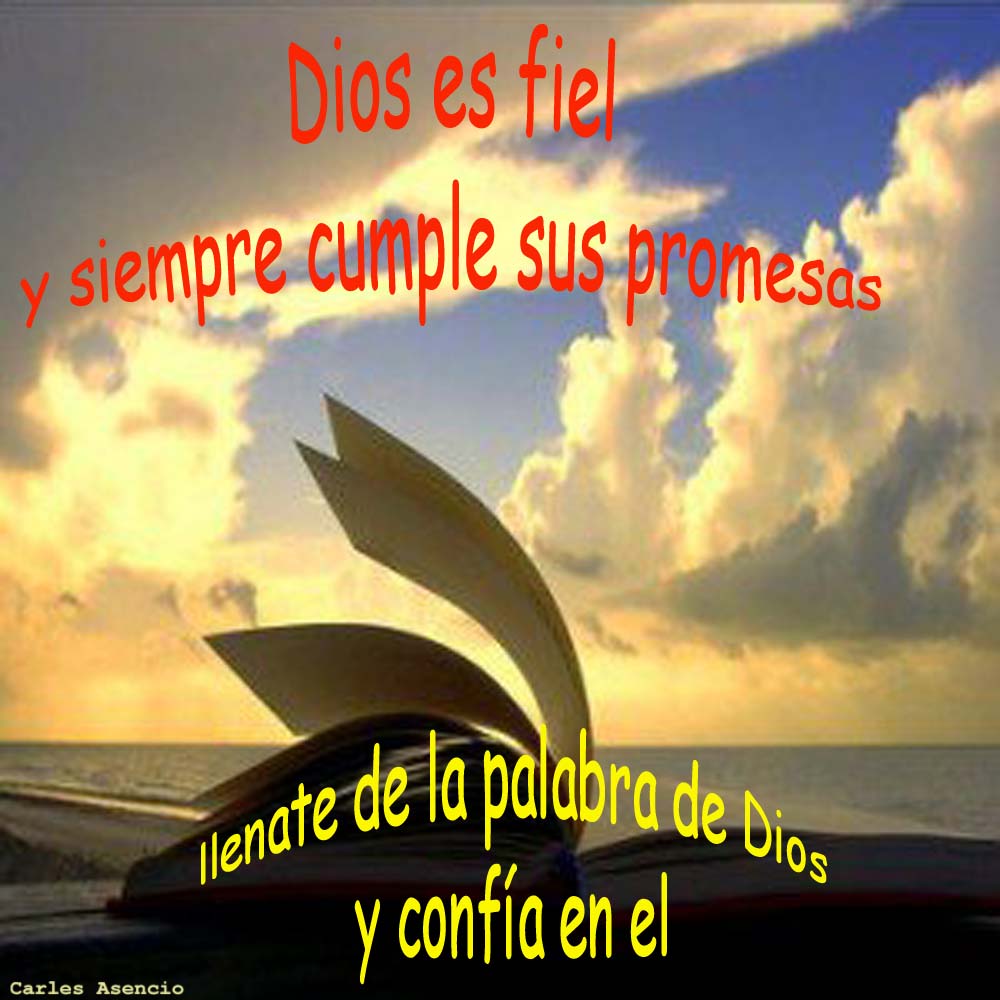 Amigo de Dios. Al servicio de Dios