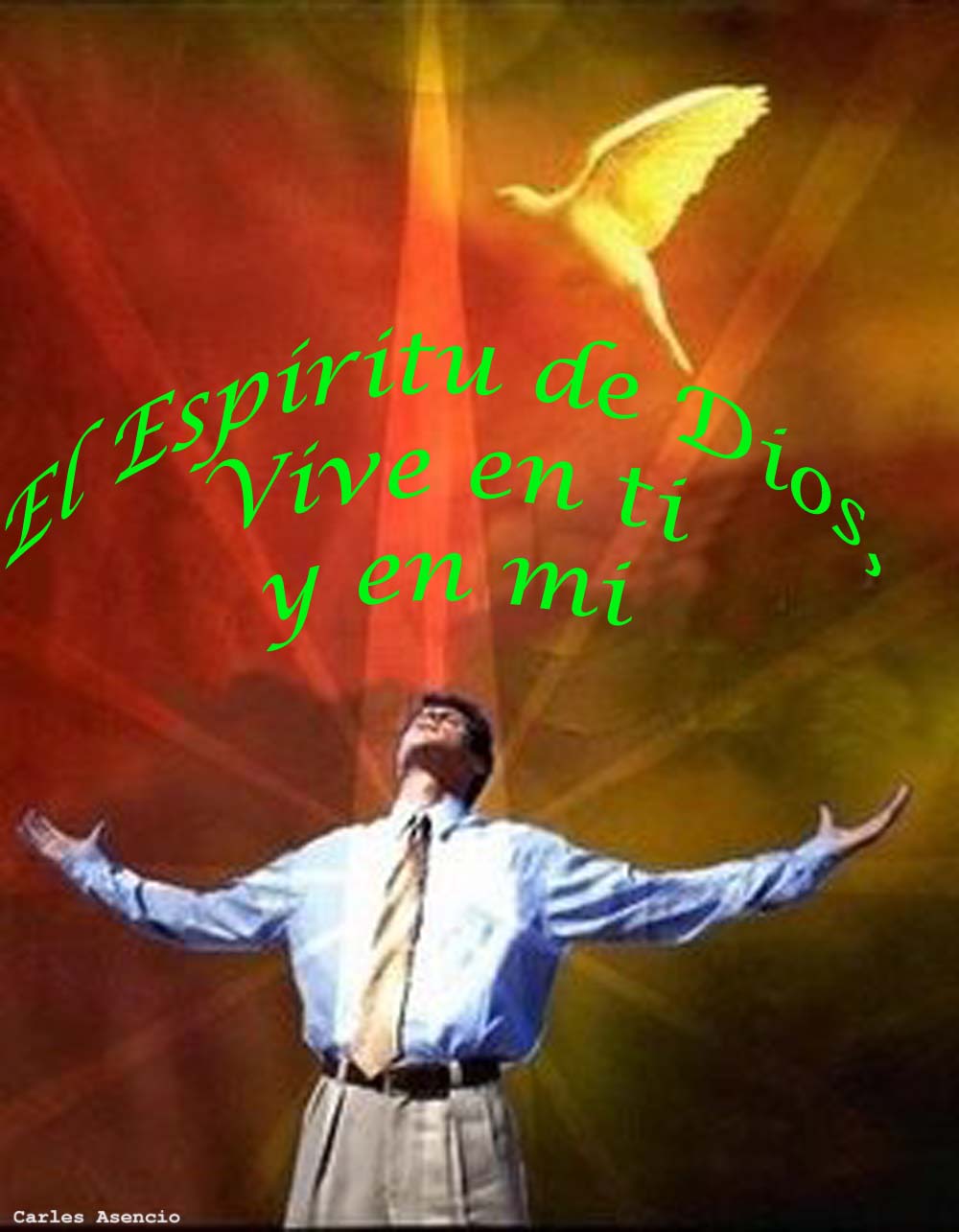 Amigo de Dios. Al servicio de Dios