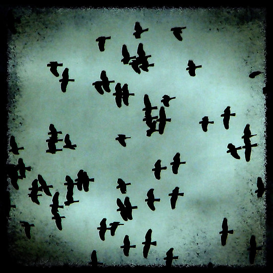 Abbey Roads: 2011-01-02