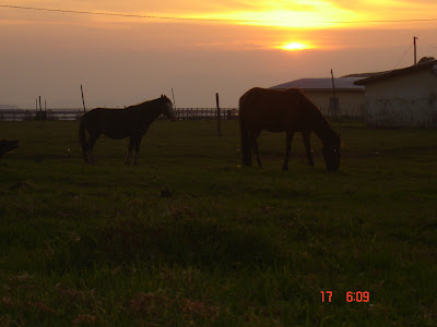 EL-HADJI BABA AHMADU DAN PULLO OF NDAWARA: Sun set in Ndawara the ...