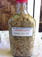 Joan's Journal: Sisi, Anyone?