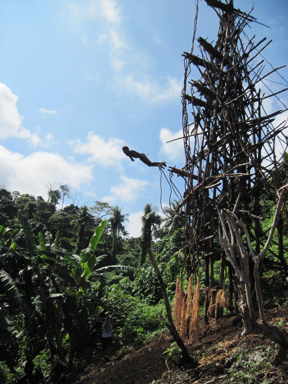 Life in the South Pacific: The original bungee jumping!
