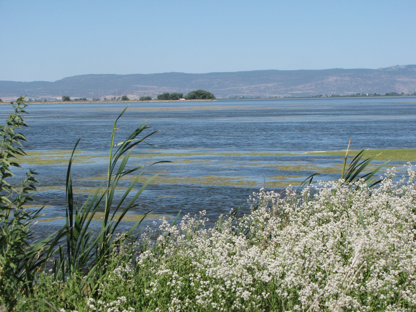 Kat's Chronicles: 100720 Lava Beds & Tule Lake