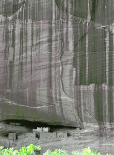 Jeremy Bernal Zebra Pinn