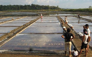 Anything Under the Beautiful Sunshine