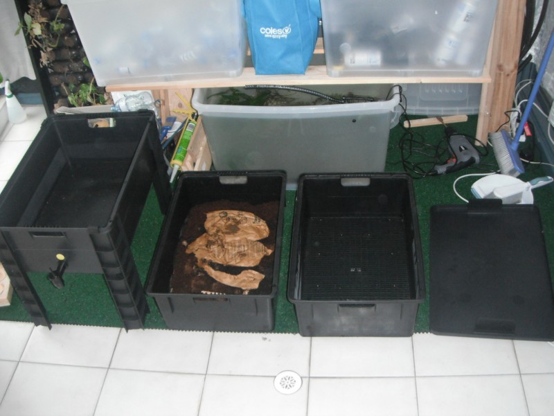 Urban Green Survival: Worm Farm