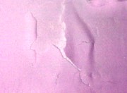 El cuarteado de las pinturas | Remodelaciones