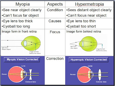 IK '11: Science Form 2 : World Through Our Senses