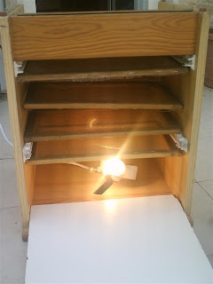 Homemade dehydrator | Penniless Parenting