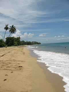 Ibis Del Mar: Introduction to Ibis Del Mar's Blog