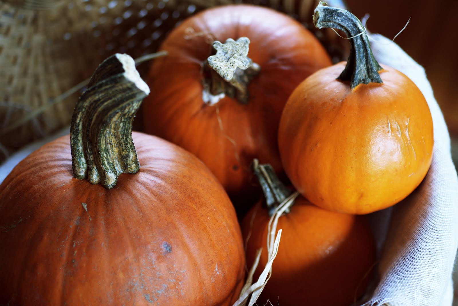 2 Stews: Roasted Pumpkin Chestnut Soup