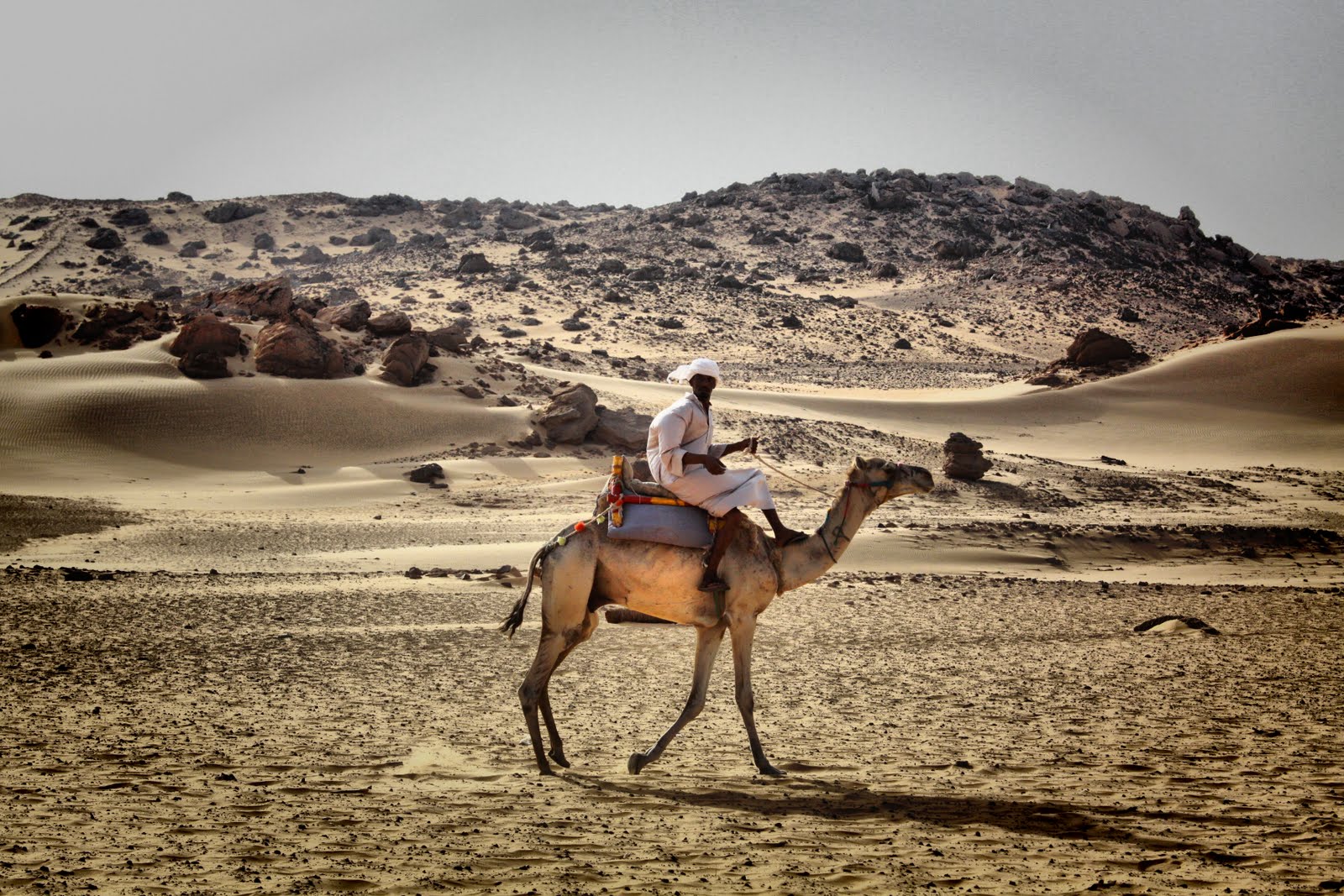 Photographia by Grigoris Reras: Camel Rider in Sahara Desert, Egypt