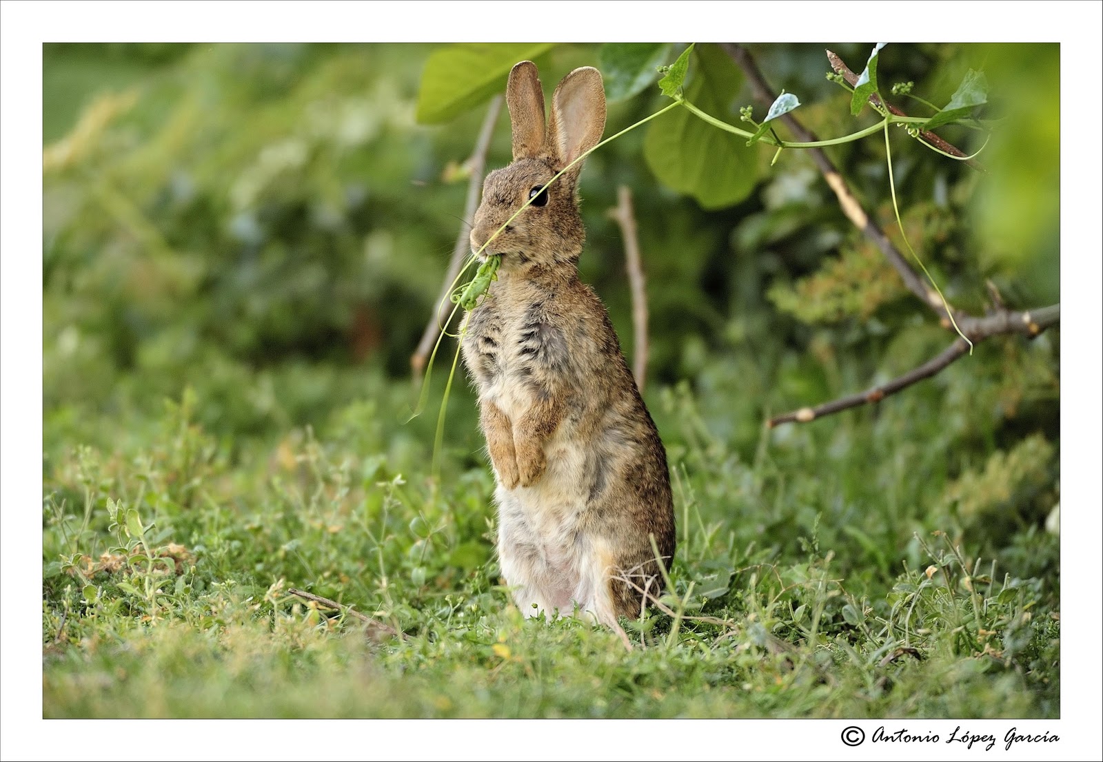 Encuentros memorables