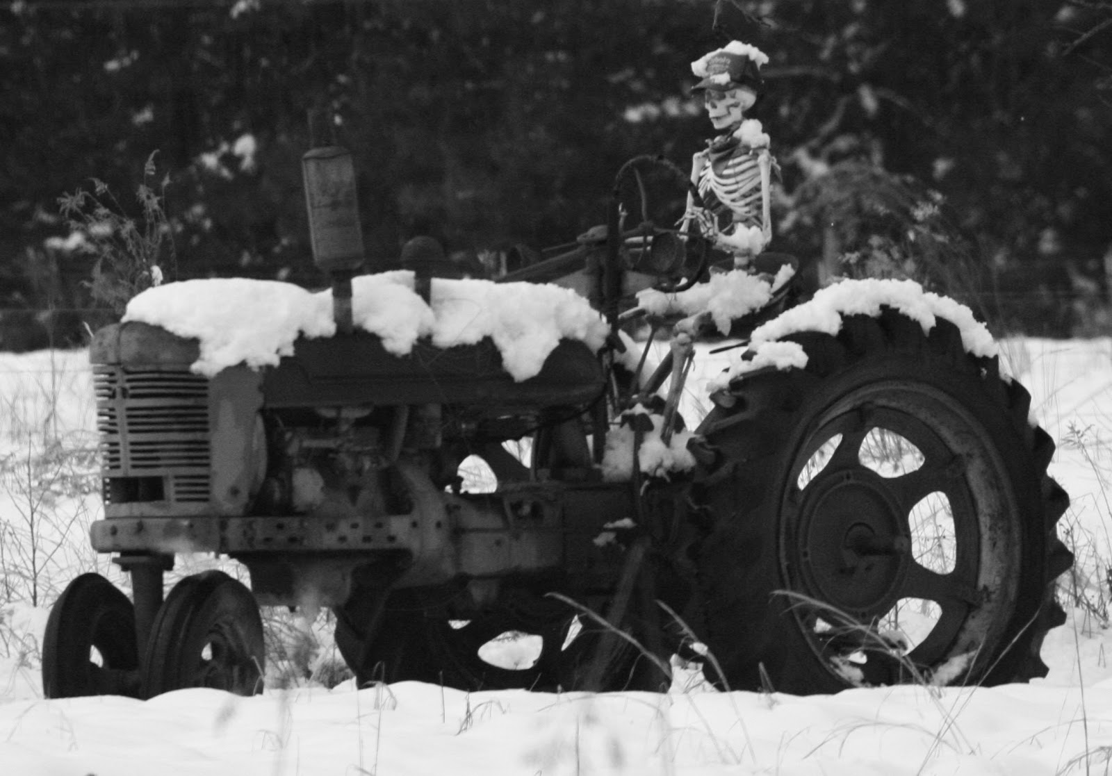 Nature Happenings with Dennis Waters: Photo: Cold Farmer