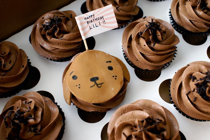 Coco Cake Land - Cakes Cupcakes Vancouver BC: New Coco Cake Packaging ...