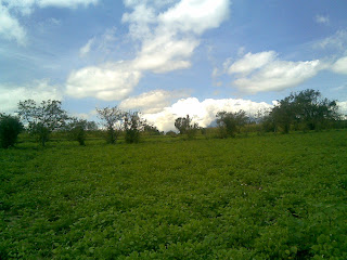 TURISMO: SANTA MARIA ACUEXCOMAC