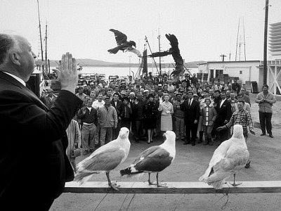 Filmbuster(d)s: Il bianco e il nero #25: Tutto quello che avreste ...