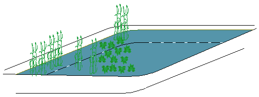 San Fernando City Septage: Septage Treatment - The BORDA Option