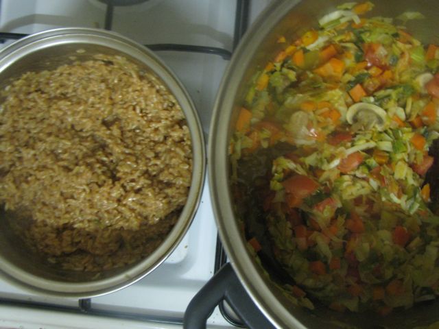 Green Gourmet Giraffe: Russian style rice casserole