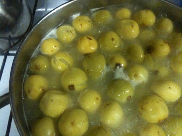 Thoughts from Botswana by Lauri Kubuitsile: How To Make Morula Jam (and ...