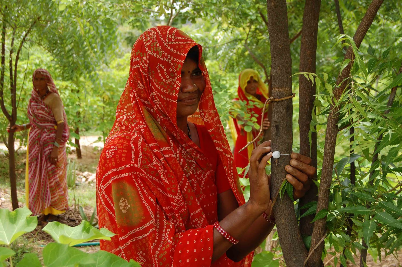 for a world beyond words: Living in Coexistence with Nature