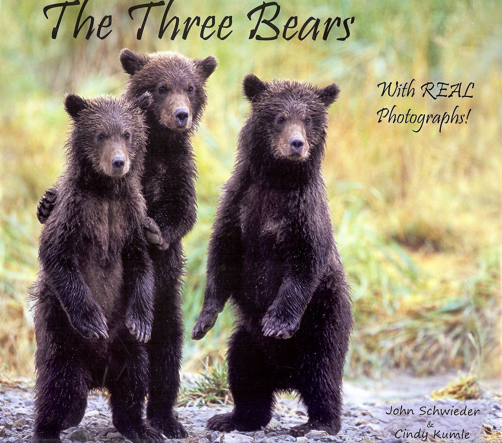 Kid Lit North: Where Ravens Roam and Writers Dream: Our Three Bears