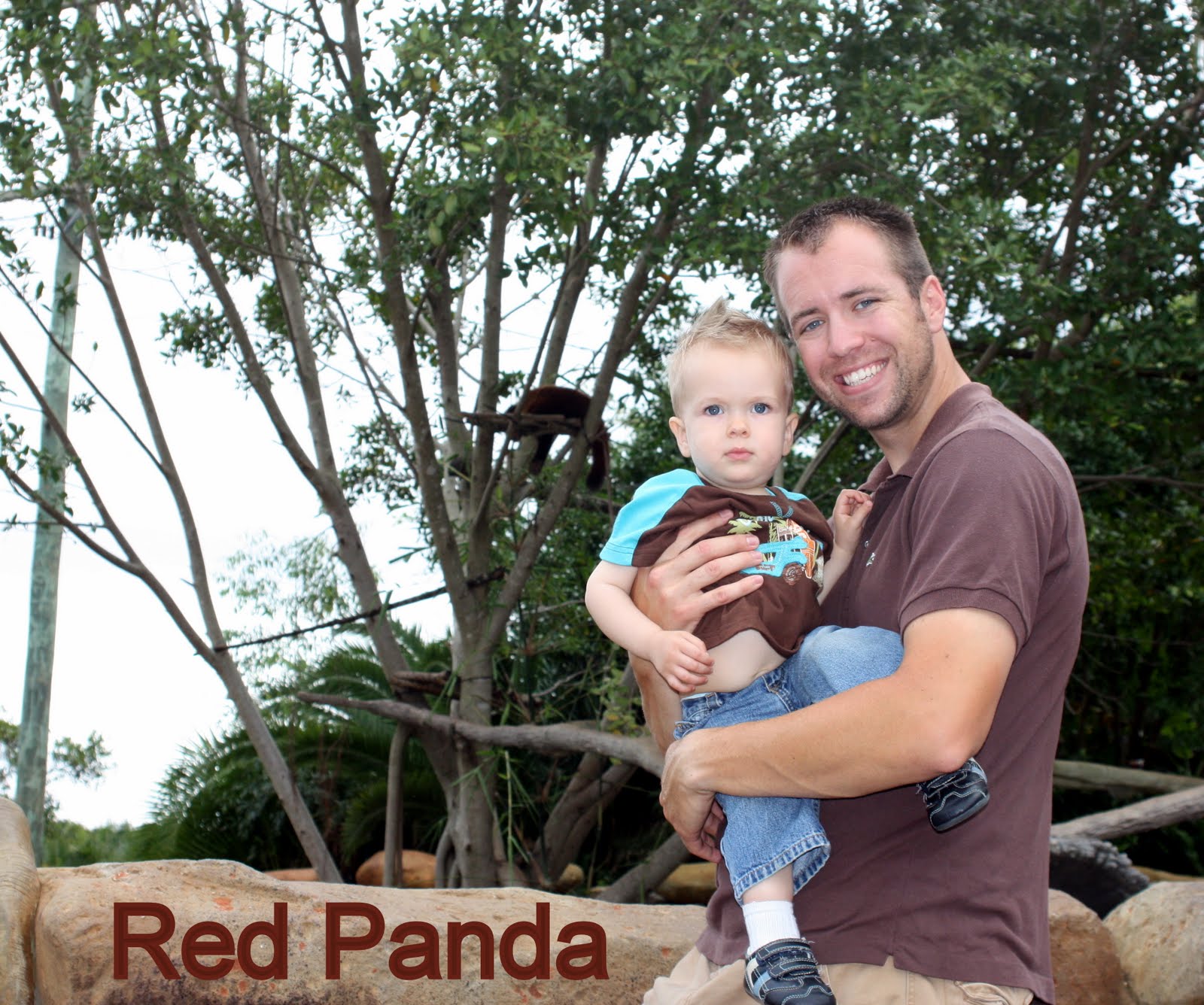 The Petersen Post: Australia Zoo