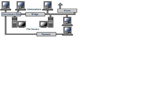 BeRr~TechnoLogy: Macam-macam Topologi Jaringan Pada Komputer