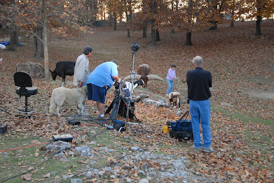 Creative Motion Media HD