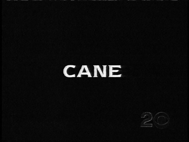RARE AND HARD TO FIND TITLES - TV and Feature Film: Cane (2007) TV series