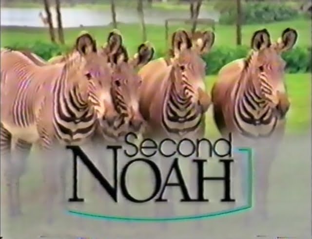 RARE AND HARD TO FIND TITLES - TV and Feature Film: Second Noah (1996 ...