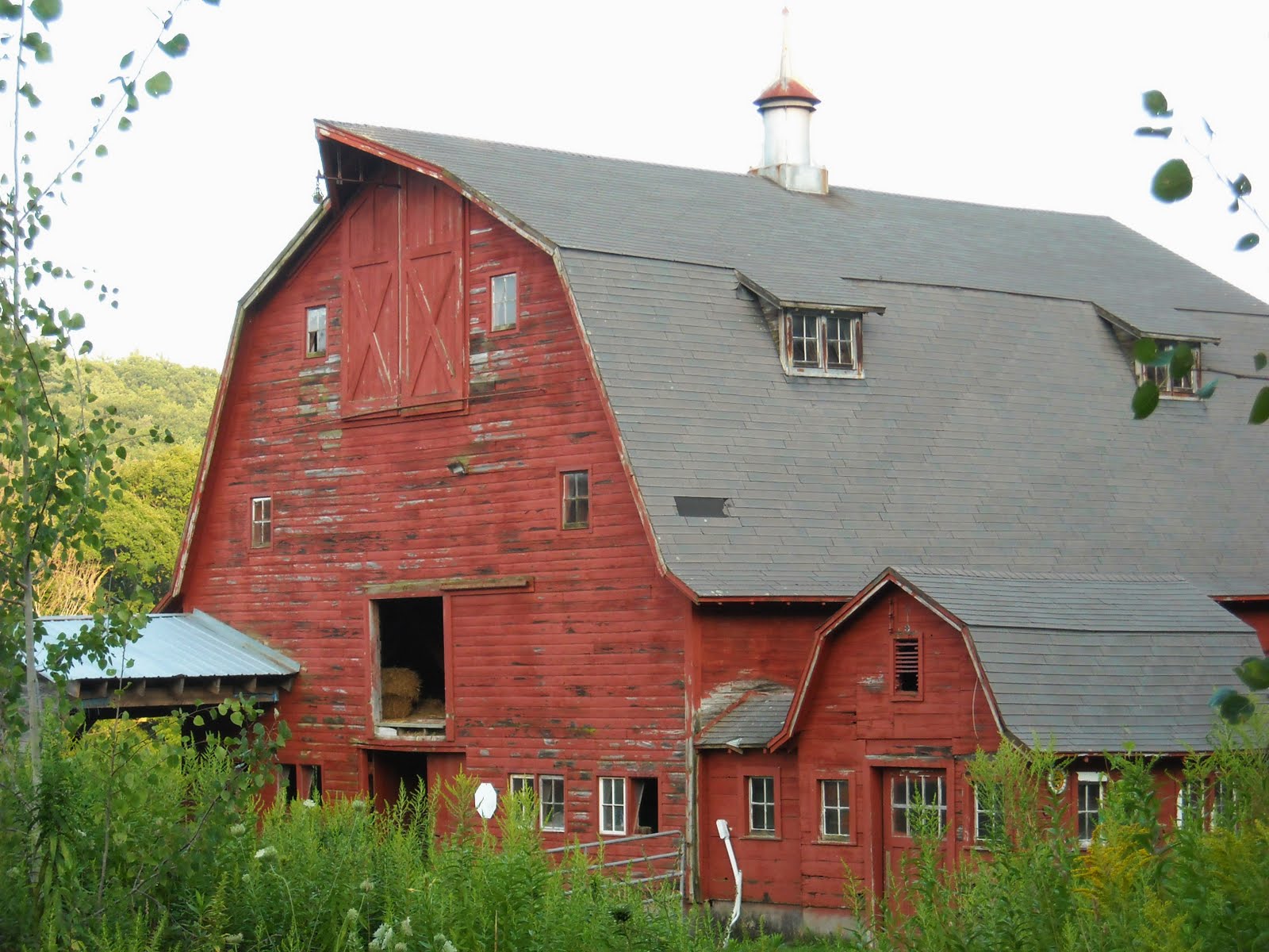 *The Brambleberry Cottage*: A Bit of Barn Envy