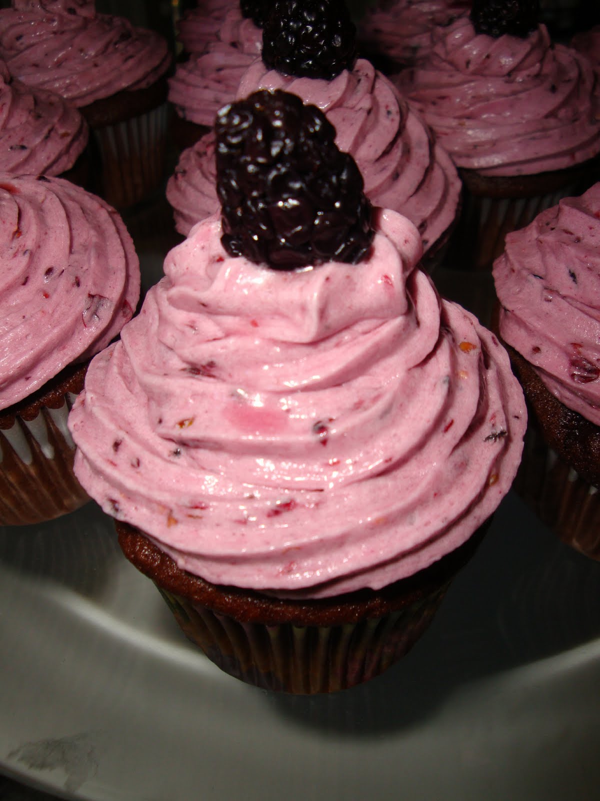 Sweet Thang's Confections: Cupcake Dreams!