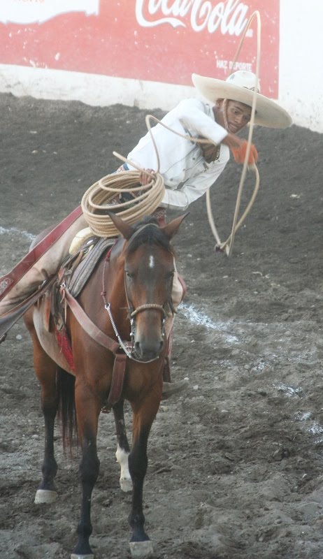 Pinolillo - JungleKey.es Imagen