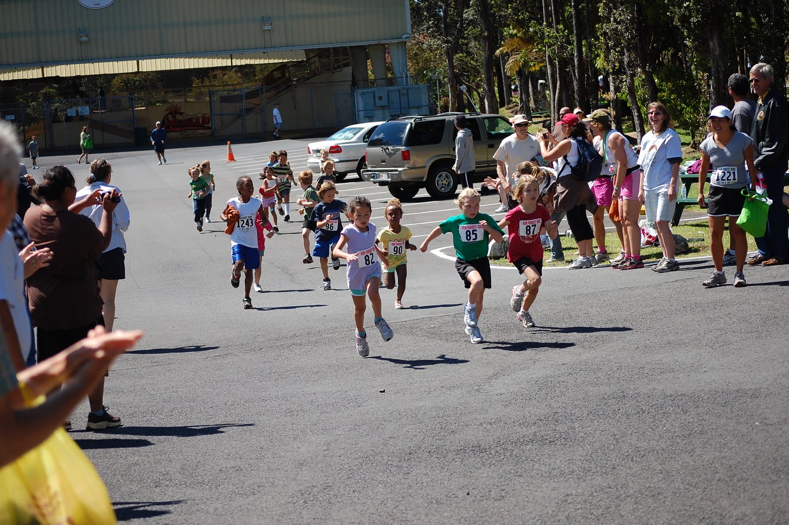 Running Big with the Big Island Running Co.: Volcano Art Center Rain ...