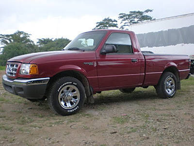 Where the leisure buffalo roams: January 2009