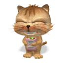 Dinga cat.叮嘉猫乐园: Dinga cat叮嘉写真集系列二