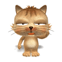 Dinga cat.叮嘉猫乐园: Dinga cat叮嘉写真集系列二