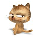 Dinga cat.叮嘉猫乐园: Dinga cat写真集系列四