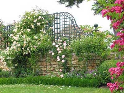 Through the French eye of design: TRELLISES
