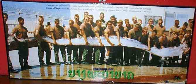 Trips to Thailand: Oarfish Myth
