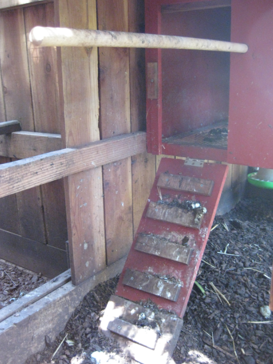 Popular Chook pen plans australia - ChickLook