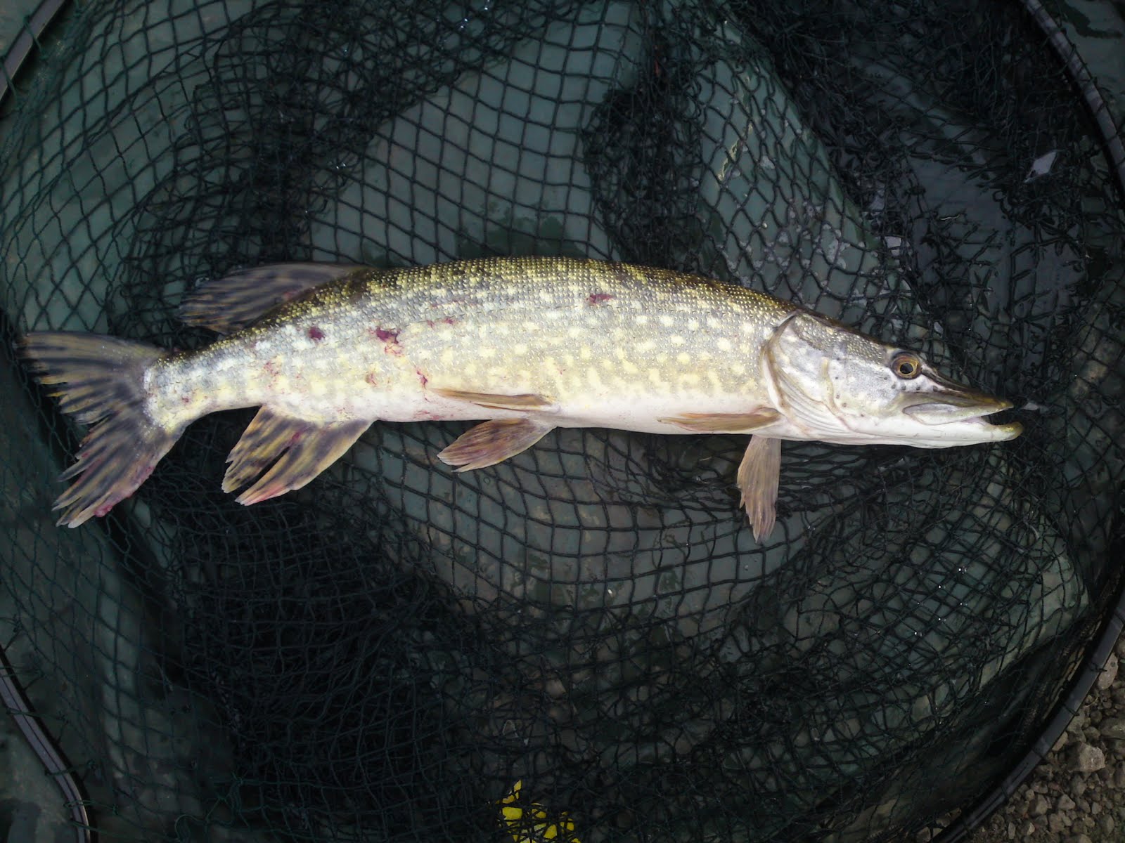 DEESOX: Pike & Eumer tube flies