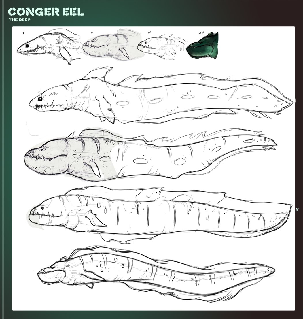 Fahran's Blog: Developed Eel designs