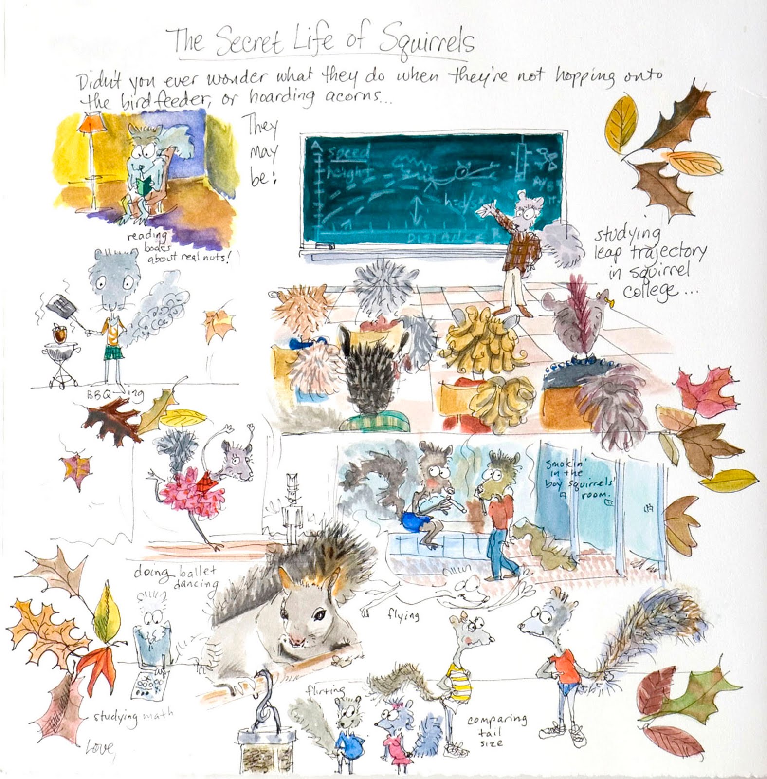 WILD LIFE: The Secret Life of Squirrels