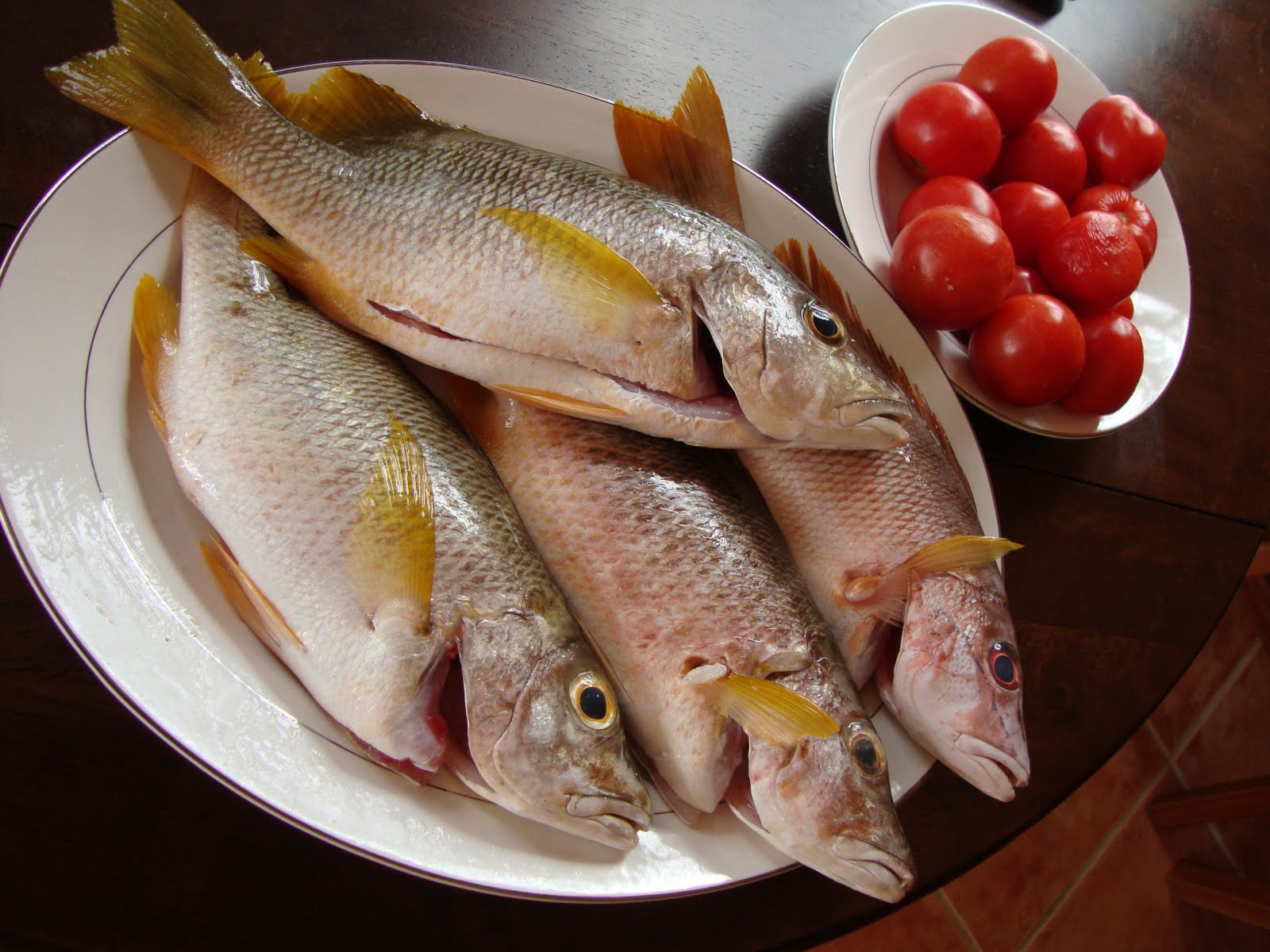 gibnut: GIBNUT: The Inspiration