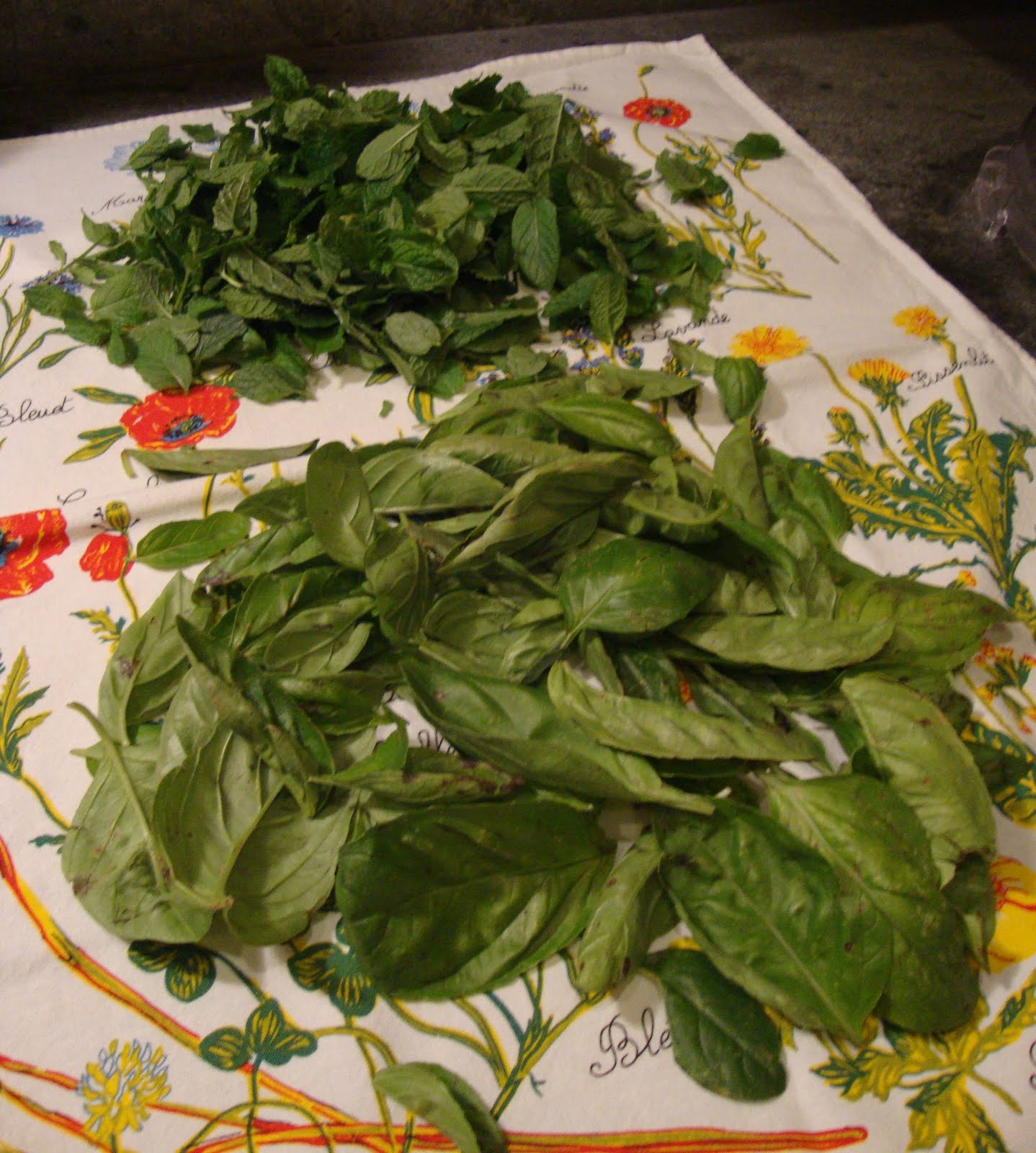 gibnut: October 2010