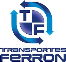 TRANSPORTES FERRON: TIPOS DE VEHICULOS